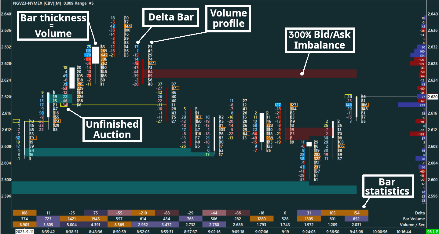 Delta Footprint, Natural Gas, 10 ticks range bars – My trading Template