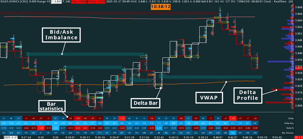 Delta Footprint, Natural Gas, 9 ticks range bars – My trading Template