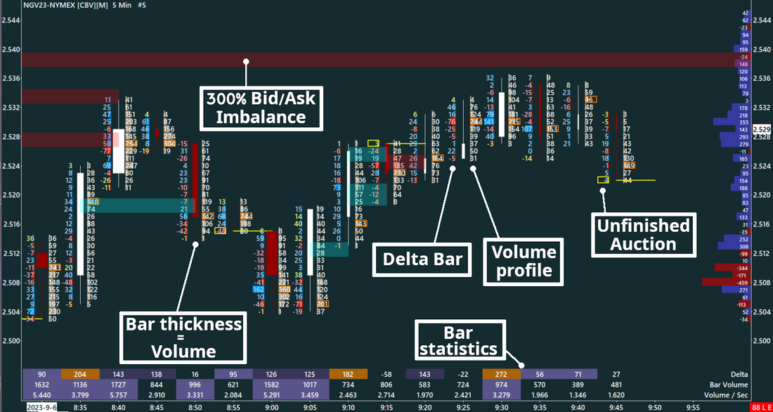 Delta Footprint, Natural Gas, 5 minutes – My trading Template